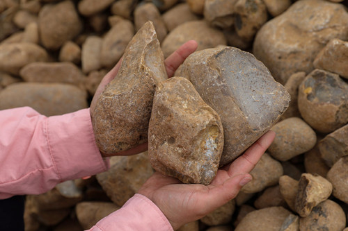 Bull Rock | Sienna Mulch