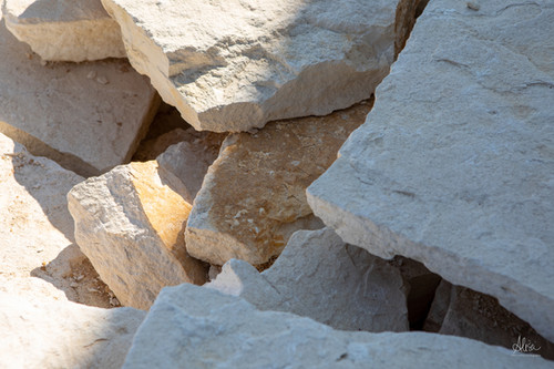 White Split | Sienna Mulch