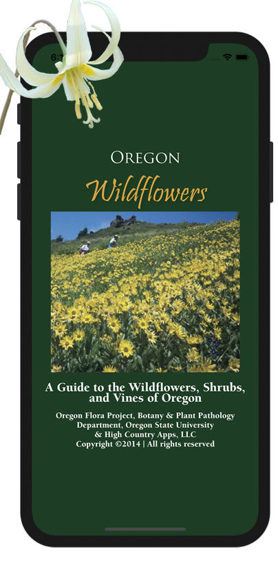 OREGON WILDFLOWERS