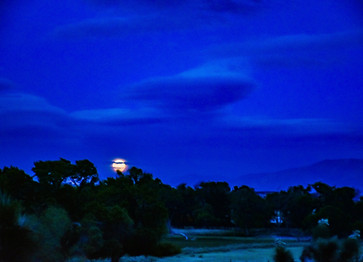 Film & Photography | Kemper Campbell Ranch LLC