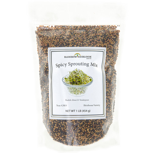 Spicy Sprouting Mix | Rainbow Heirloom See