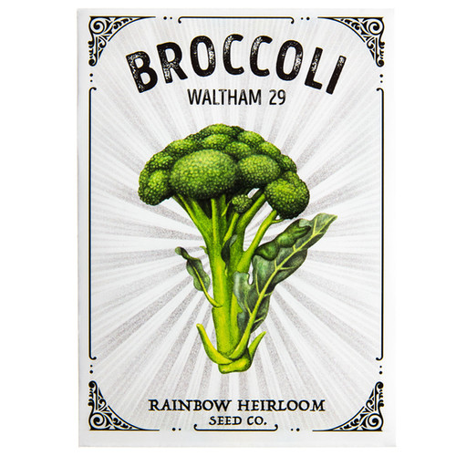 Broccoli Seeds - Waltham 29 Variety | Rainbow Heirloom See