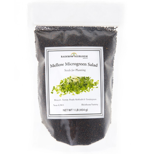 Mellow Microgreen Salad Mix | Rainbow Heirloom See