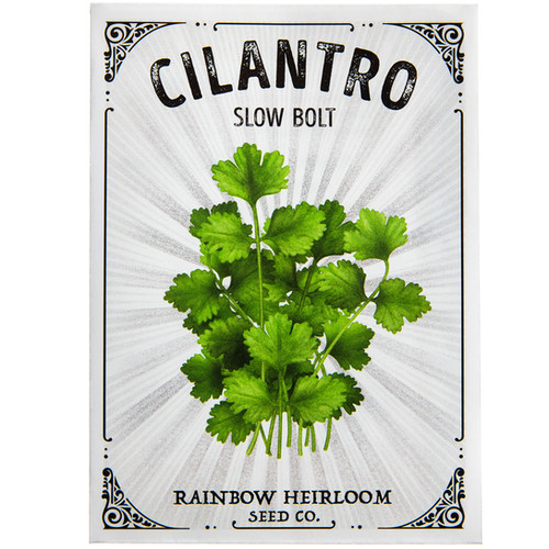 Cilantro Seeds - Slow Bolt Variety | Rainbow Heirloom See