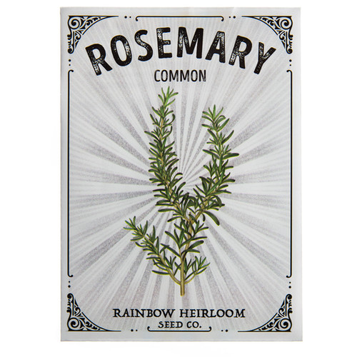 Rosemary Seeds - Common Variety | Rainbow Heirloom See