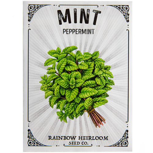 Mint Seeds - Peppermint - Common Variety | Rainbow Heirloom See