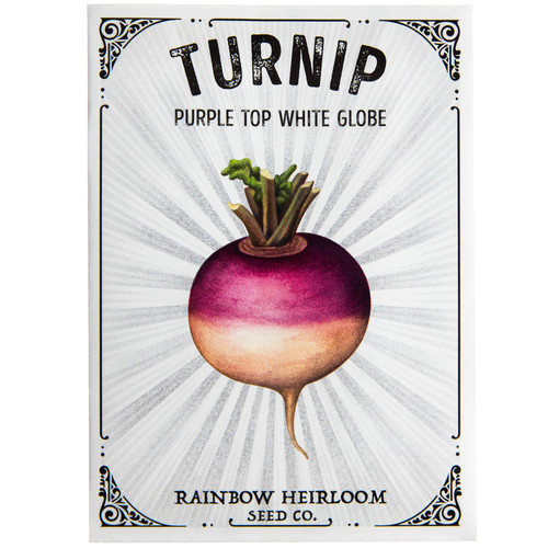 Turnip Seeds - Purple Top White Globe Variety | Rainbow Heirloom See