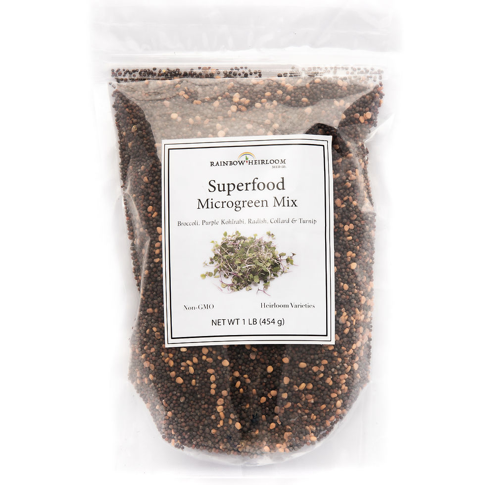 Superfood Microgreen Mix | Rainbow Heirloom See