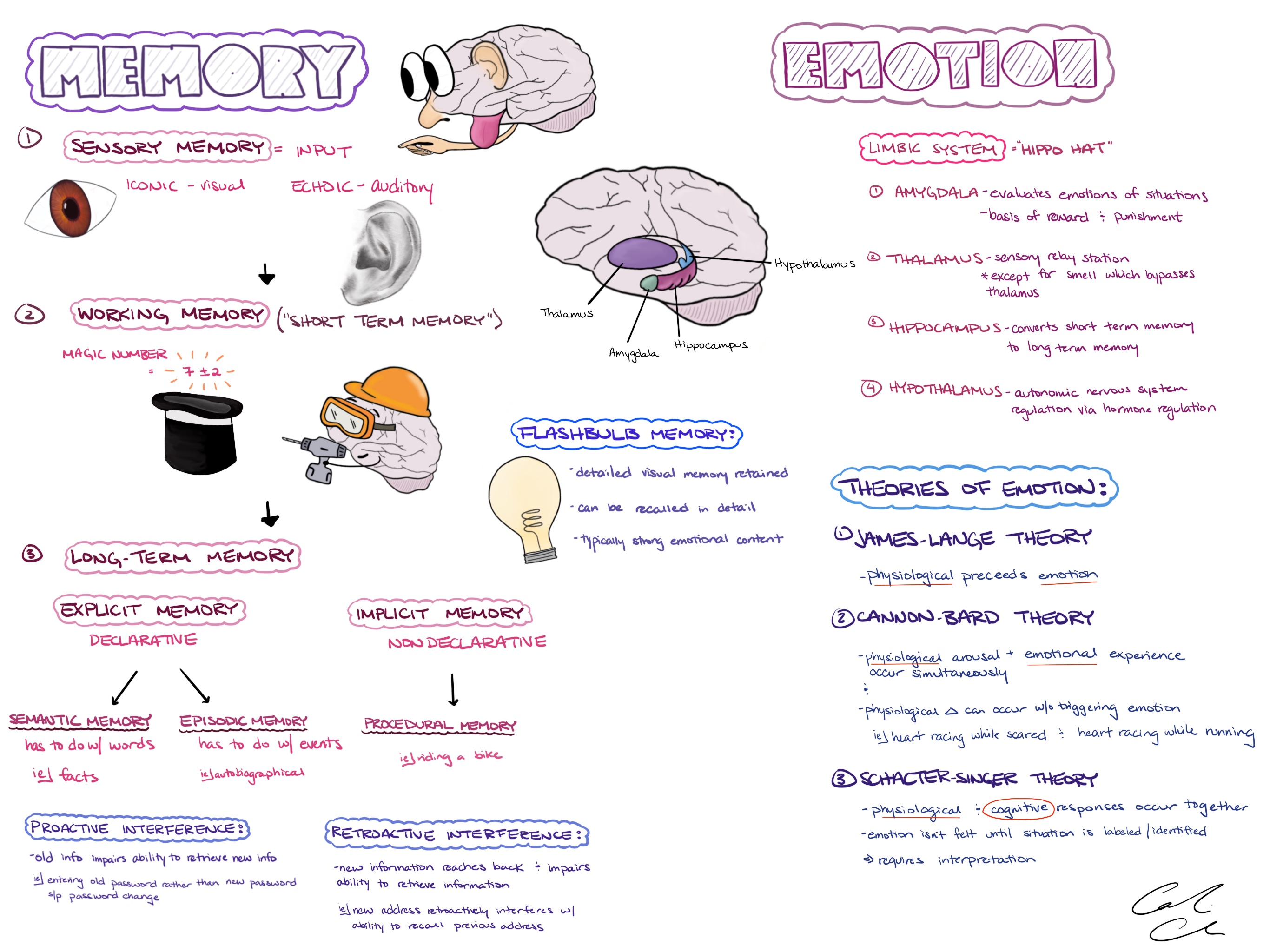 MCAT prep | themedicallyinclined