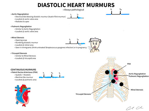 Cardiopulmonology | themedicallyinclined