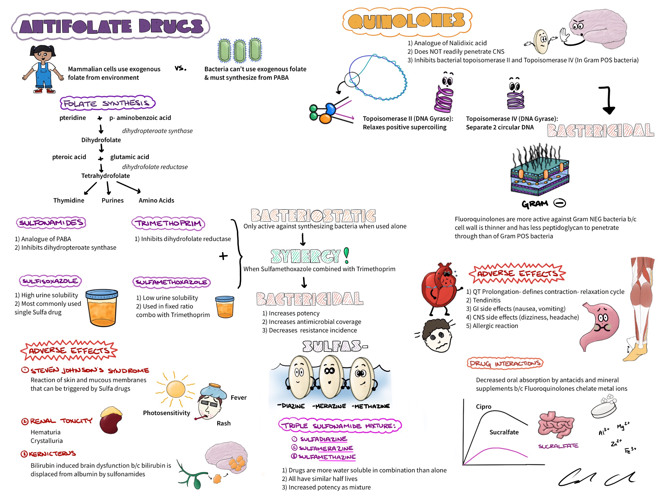 Infectious Disease | themedicallyinclined