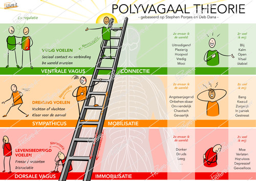 Polyvagaal theorie (PVT) - Stephen Porges - downloadlink | Picture It