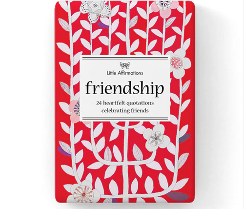 Friendship Affirmation Cards | Eduquip Ltd