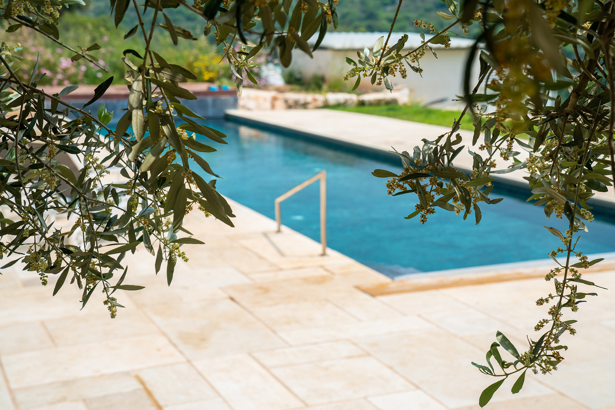 Ecological Swimming Pools | KMOBATEVA natural swimming pools