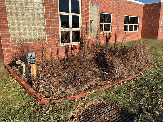 Eco Committee | Brielle Elementary S