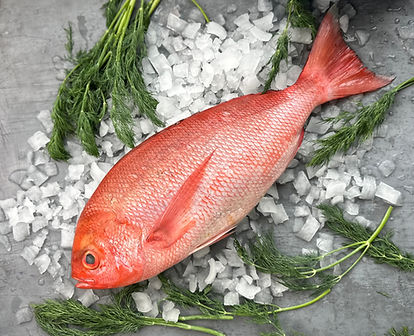 Fresh and smoked fish | Furness fish market