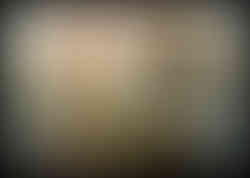 Hoot Gallery Stephen Fitzgerald aka Steve Fitz Artist