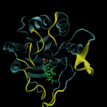 Eigen Sciences | High School Research