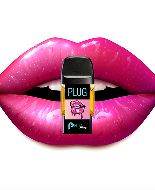 PLUGplay | MingleWood Brands