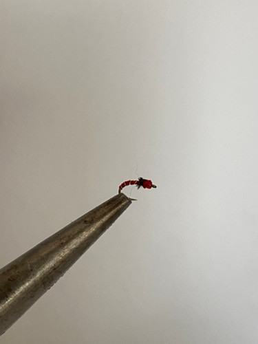 Red Zebra Midge Size 20 | SWFLYTIERS
