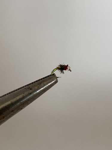 Disco Midge Size 20 | SWFLYTIERS