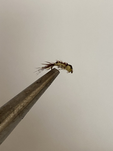 PMD Nymph Size 20 | SWFLYTIERS