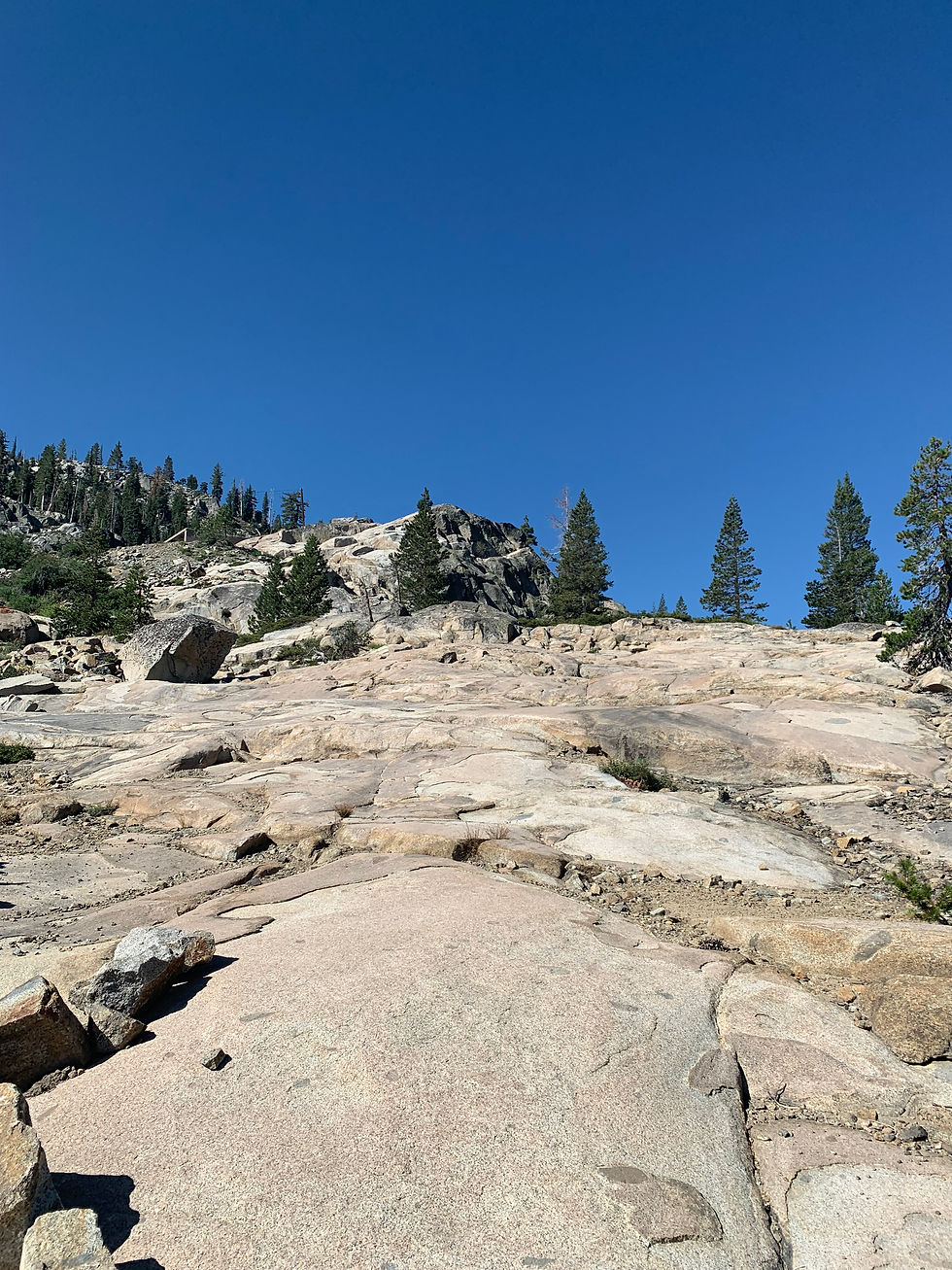 Embark on an Awe-Inspiring Hiking Adventure: Exploring the Donner Pass ...