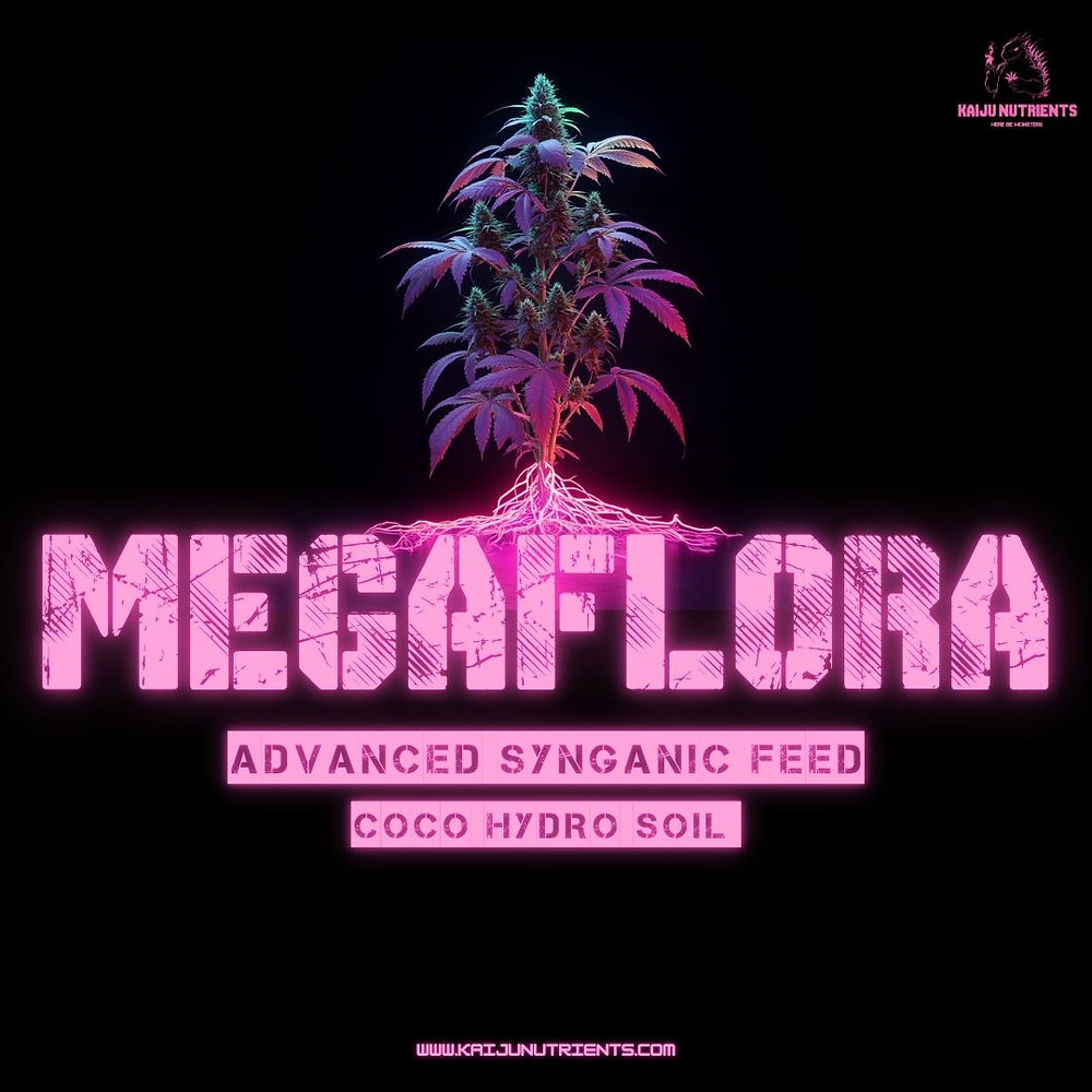 megaflora plants