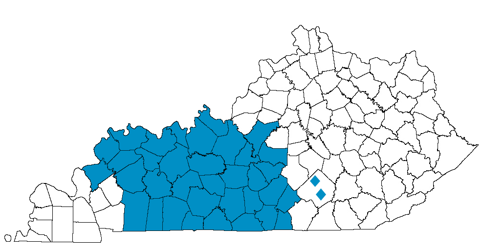 MEMBER DISTRICTS | grrec