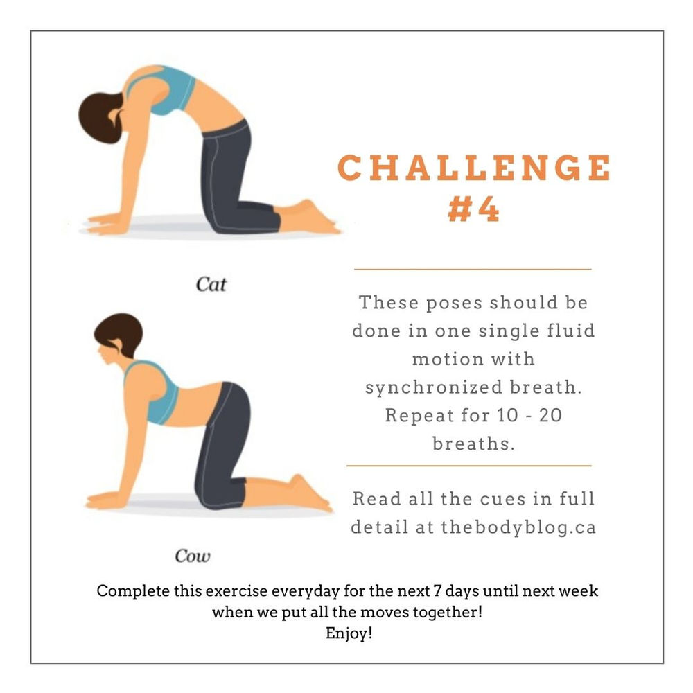 Fix Your Posture Challenge #4