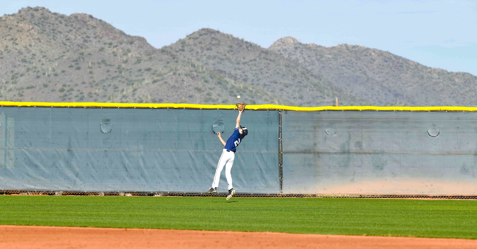 Cactus Shadows High School, Falcons Baseball | baseball