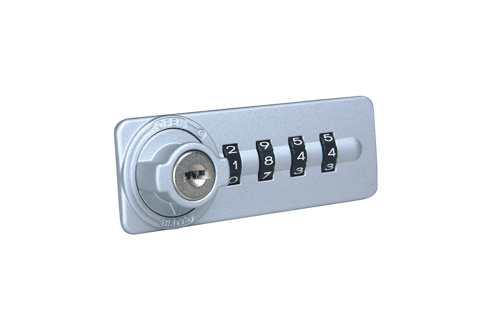PRODUCTS | Wesko Locks Ltd