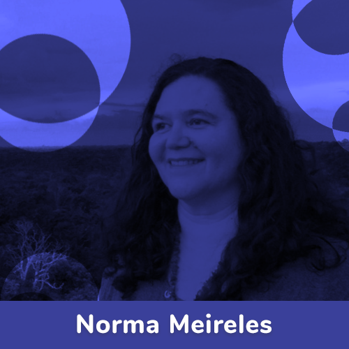 Norma Meireles | UFPB