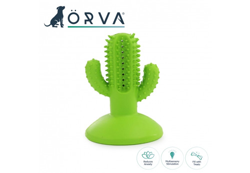 ORVA CACTUS TOOTHBRUSH | Storm's Raw Emporium