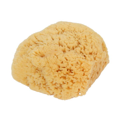 Natural Sea Sponges by Bass Body