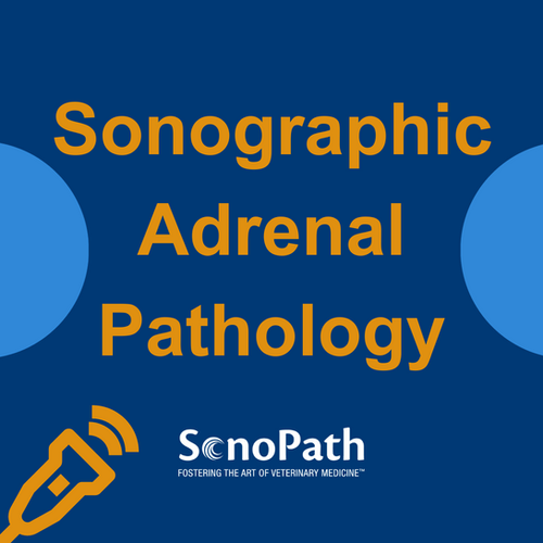 Sonographic Adrenal Pathology | SonoPath