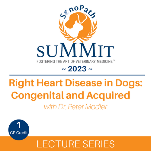 Right heart disease in dogs: Congenital and acquired. | SonoPath