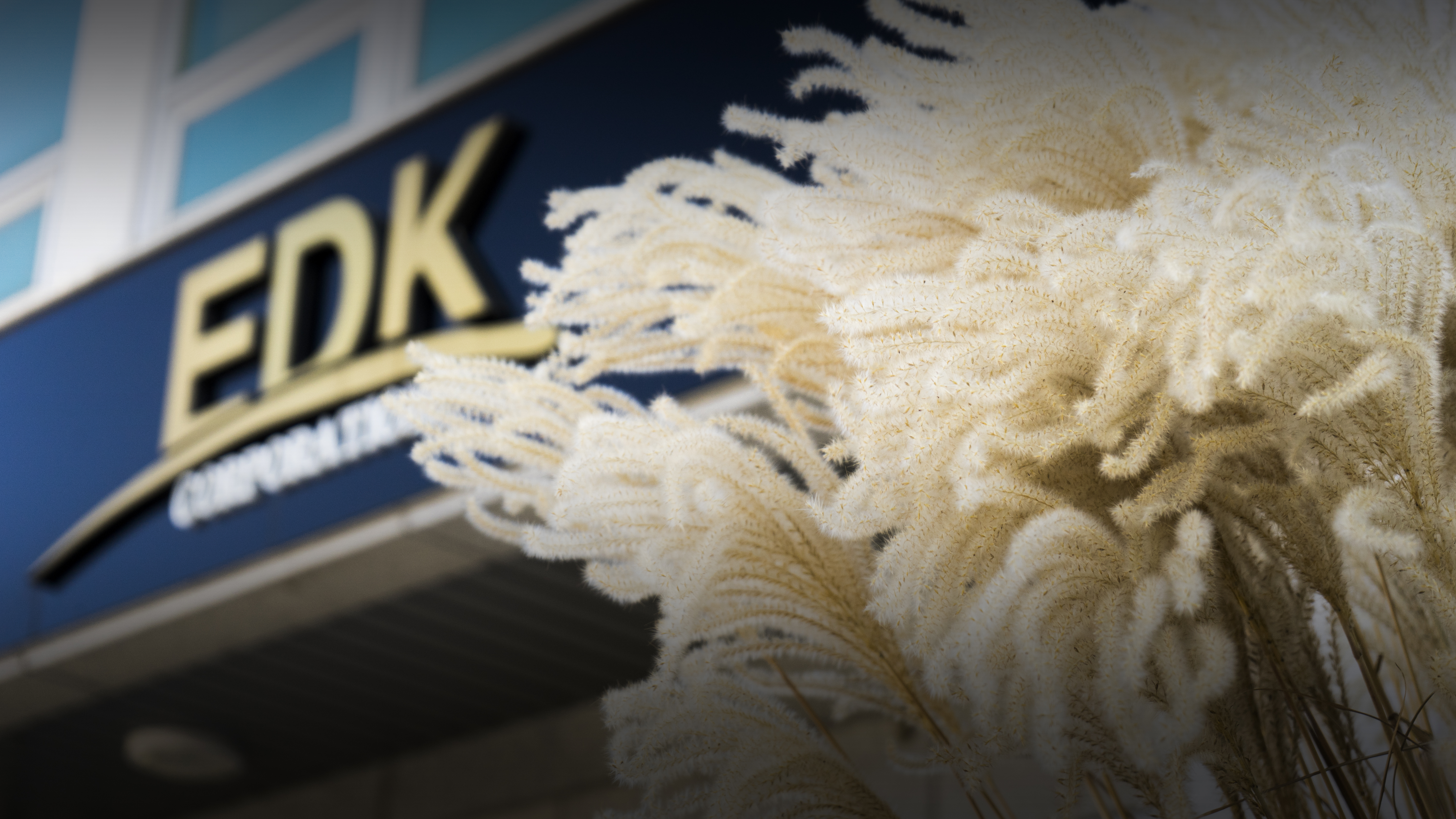 Safety Gloves | South Korea | EDK Gloves