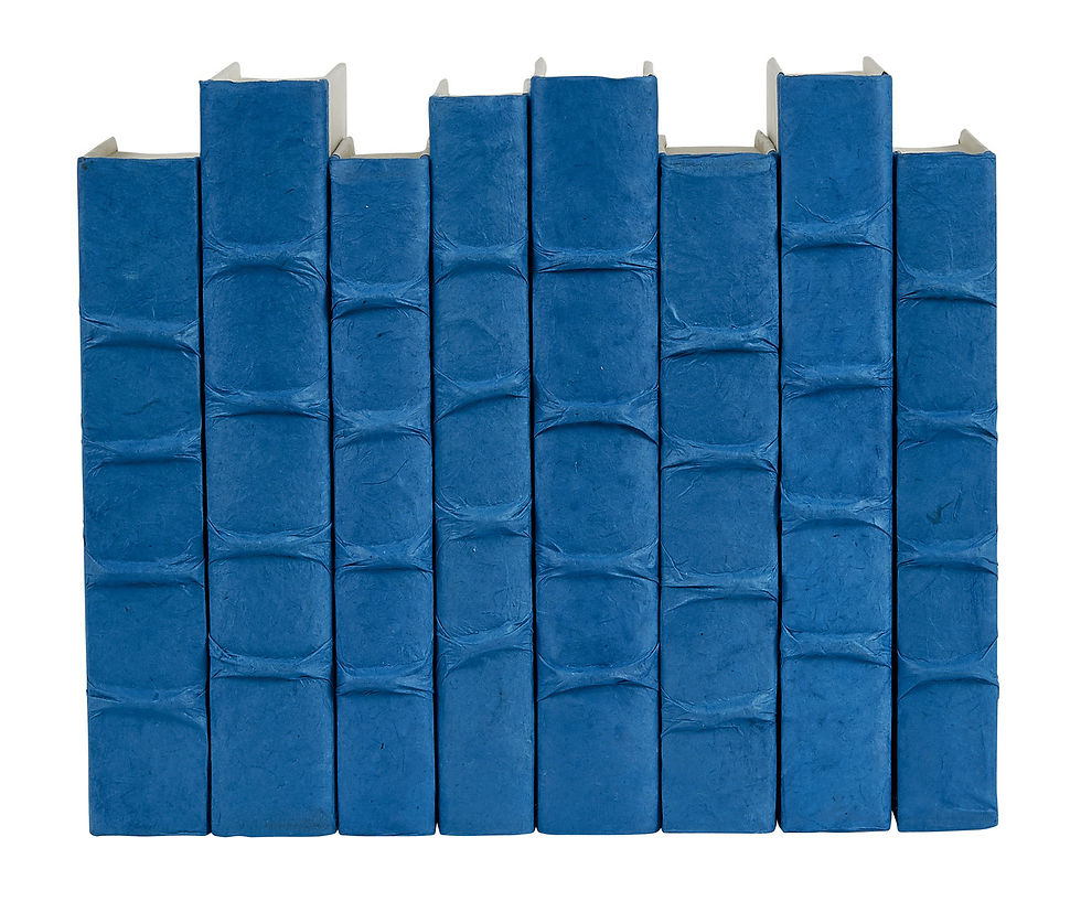 Raised Bands Turquoise Blue Parchment Display Books | Discovery Noosa