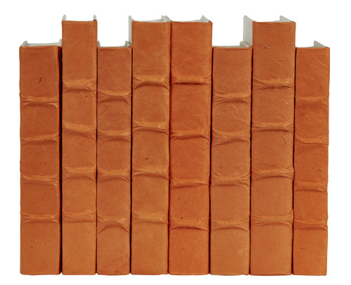 Raised Bands Orange Parchment Display Books | Discovery Noosa