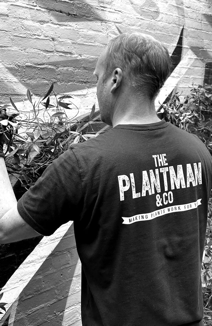 Contact | Greenscreens