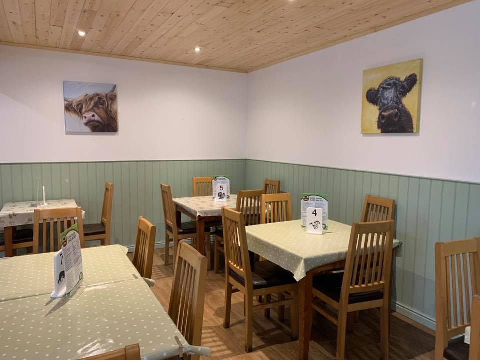 News | BorderView Farm