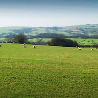 Contact Us | BorderView Farm