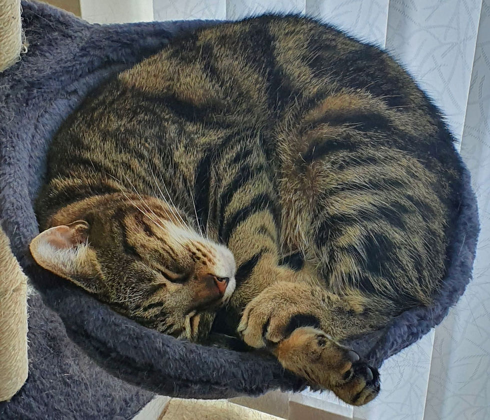 About | BorderView Farm