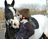 Home | BorderView Farm