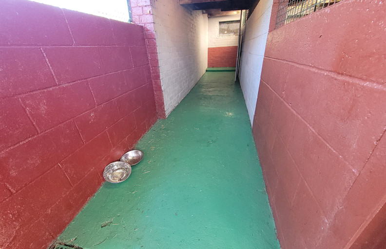 Bording Kennels | BorderView Farm