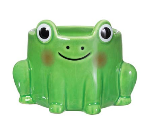 Frog Mini Planter | The Paper Gallery