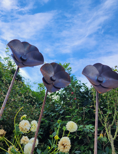 Set of 3 Poppies | Steel to love