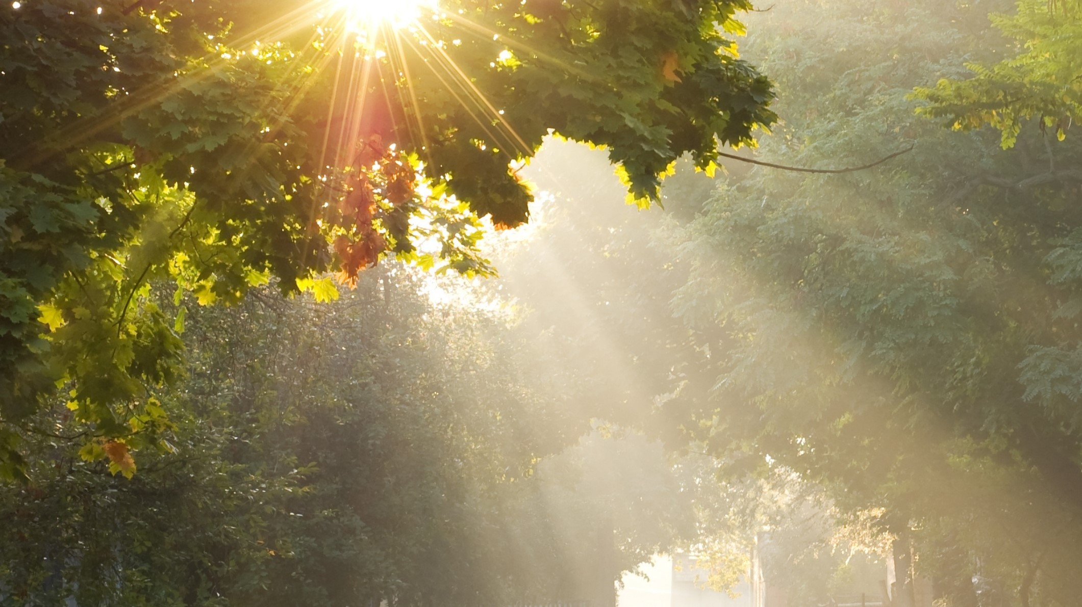 Récits célestes (n°1) - Adam, premier Prophète