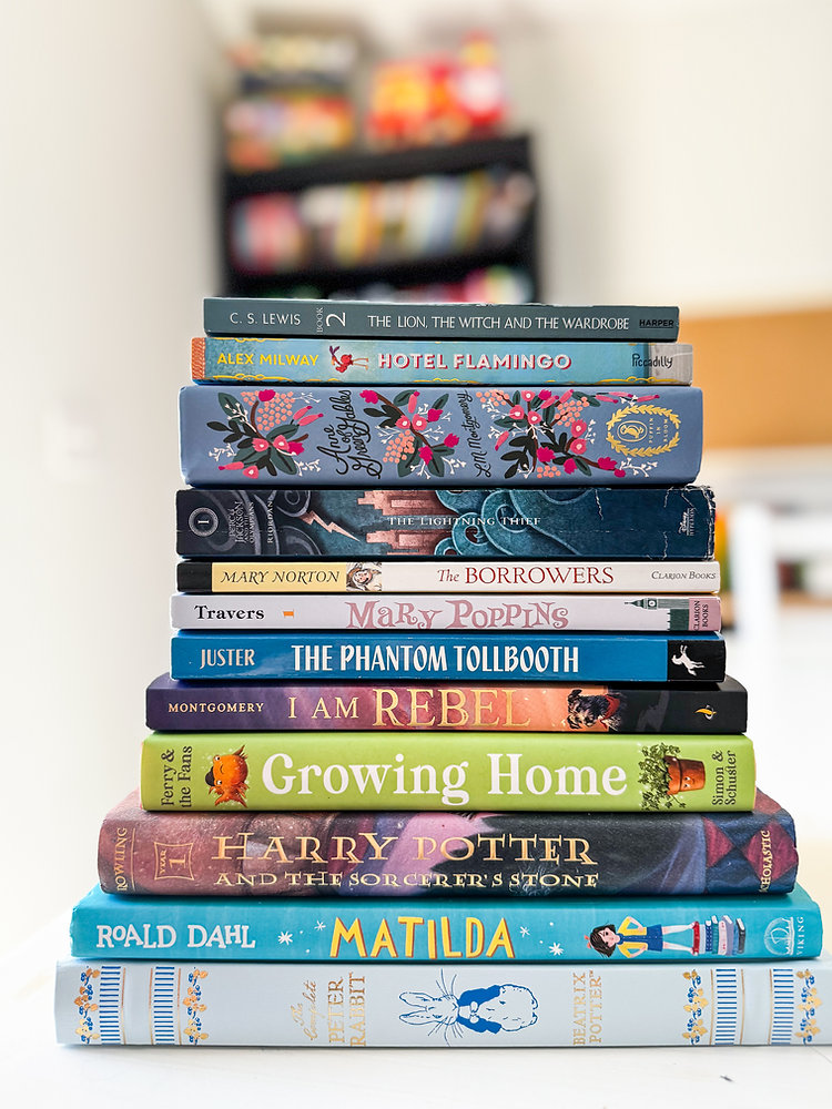 2026 Novel Study Book Picks | Book Explorer Guides